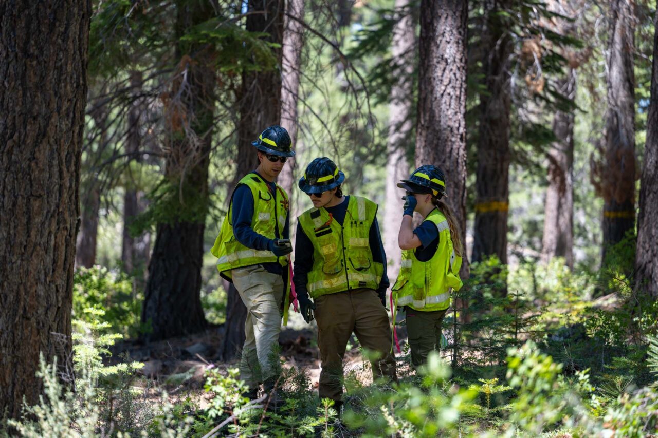 January 2026 Conservancy Newsletter | Tahoe Conservancy